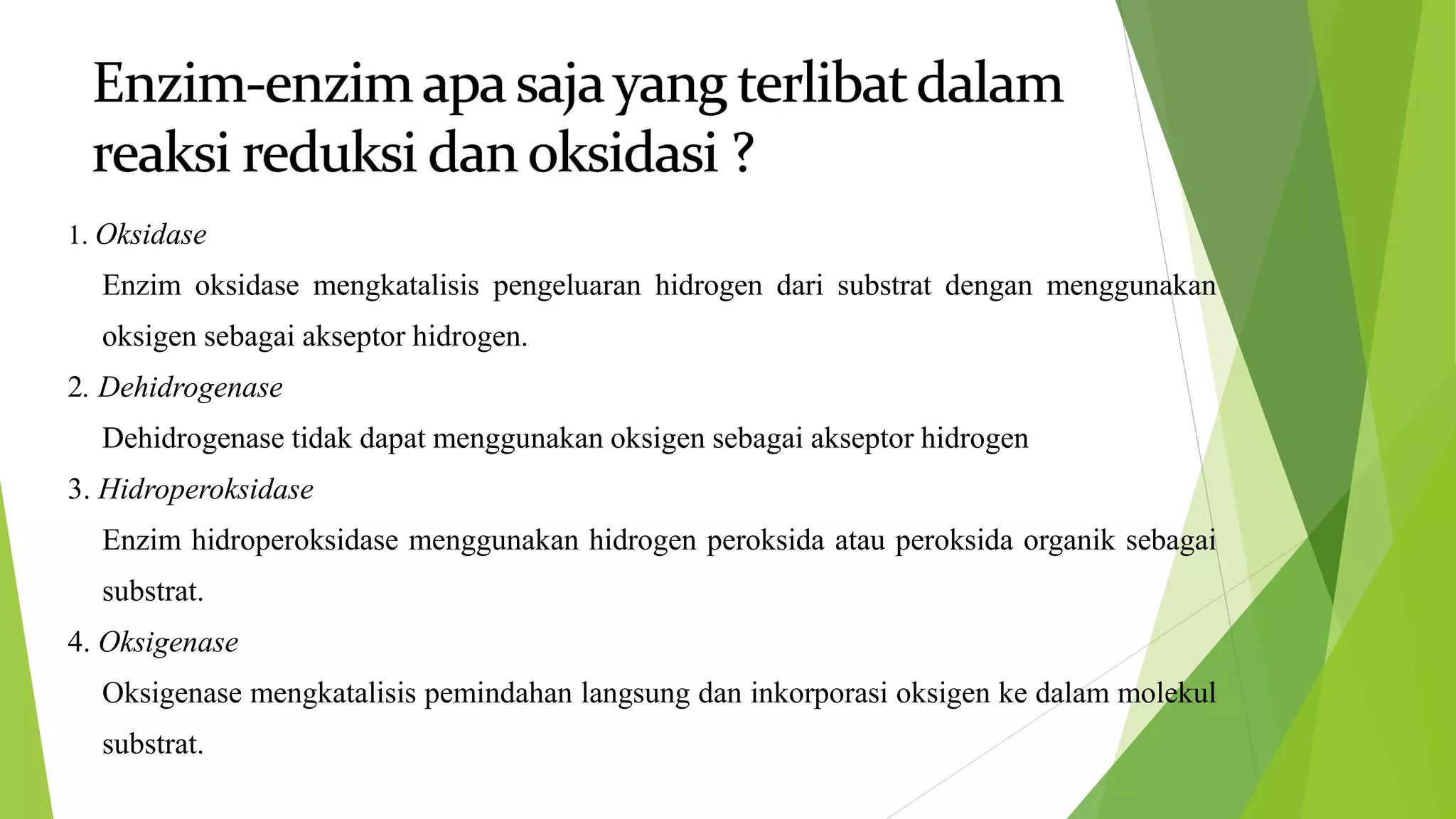 PPT RESPIRASI KEL 5 B.pptx