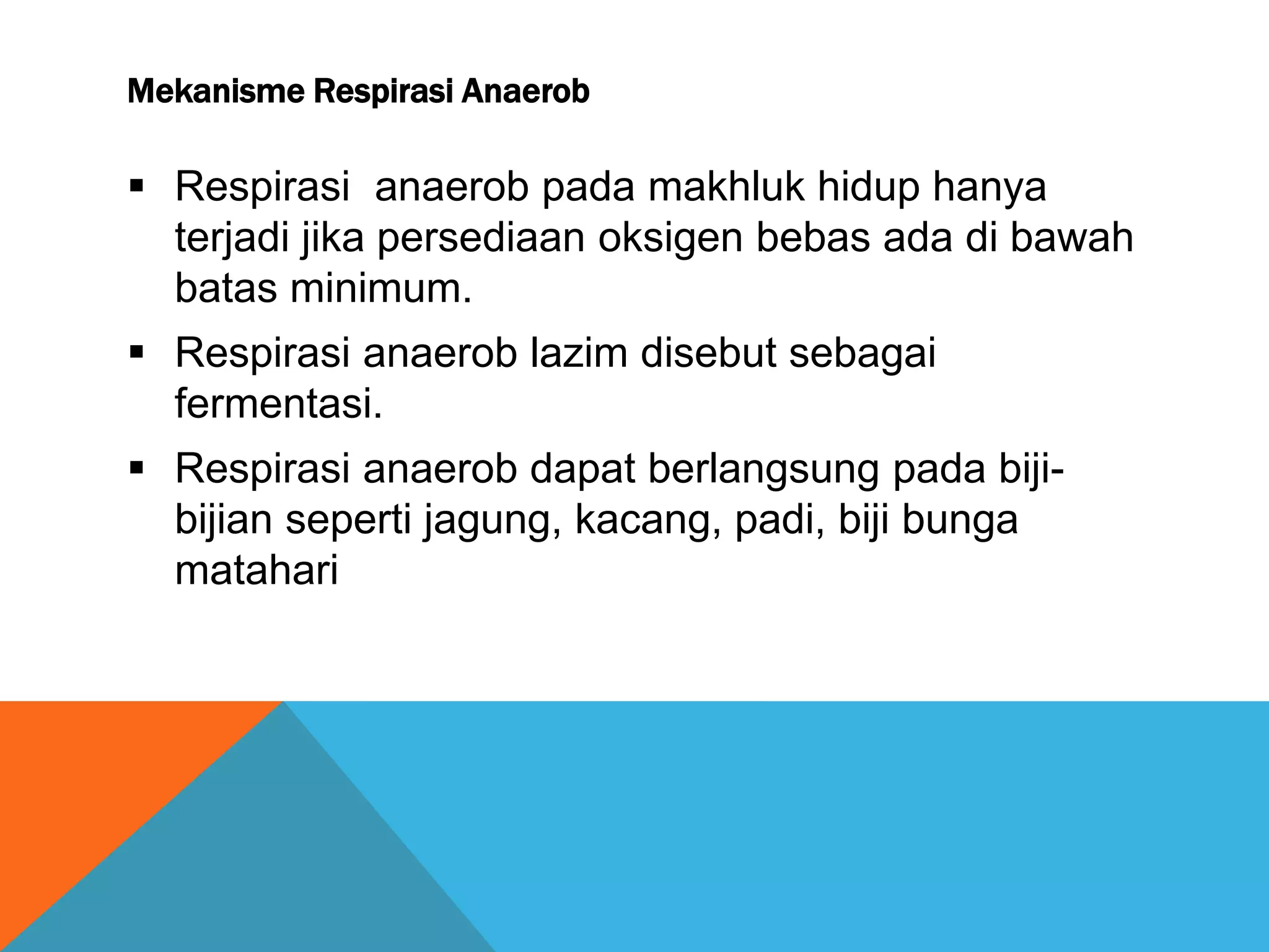 Respirasi tumbuhan | PPTX