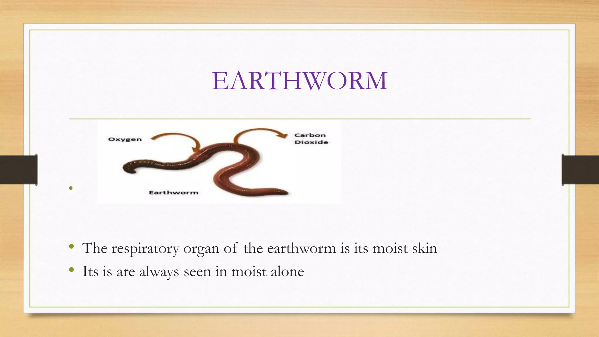 Ppt respiration | PPTX