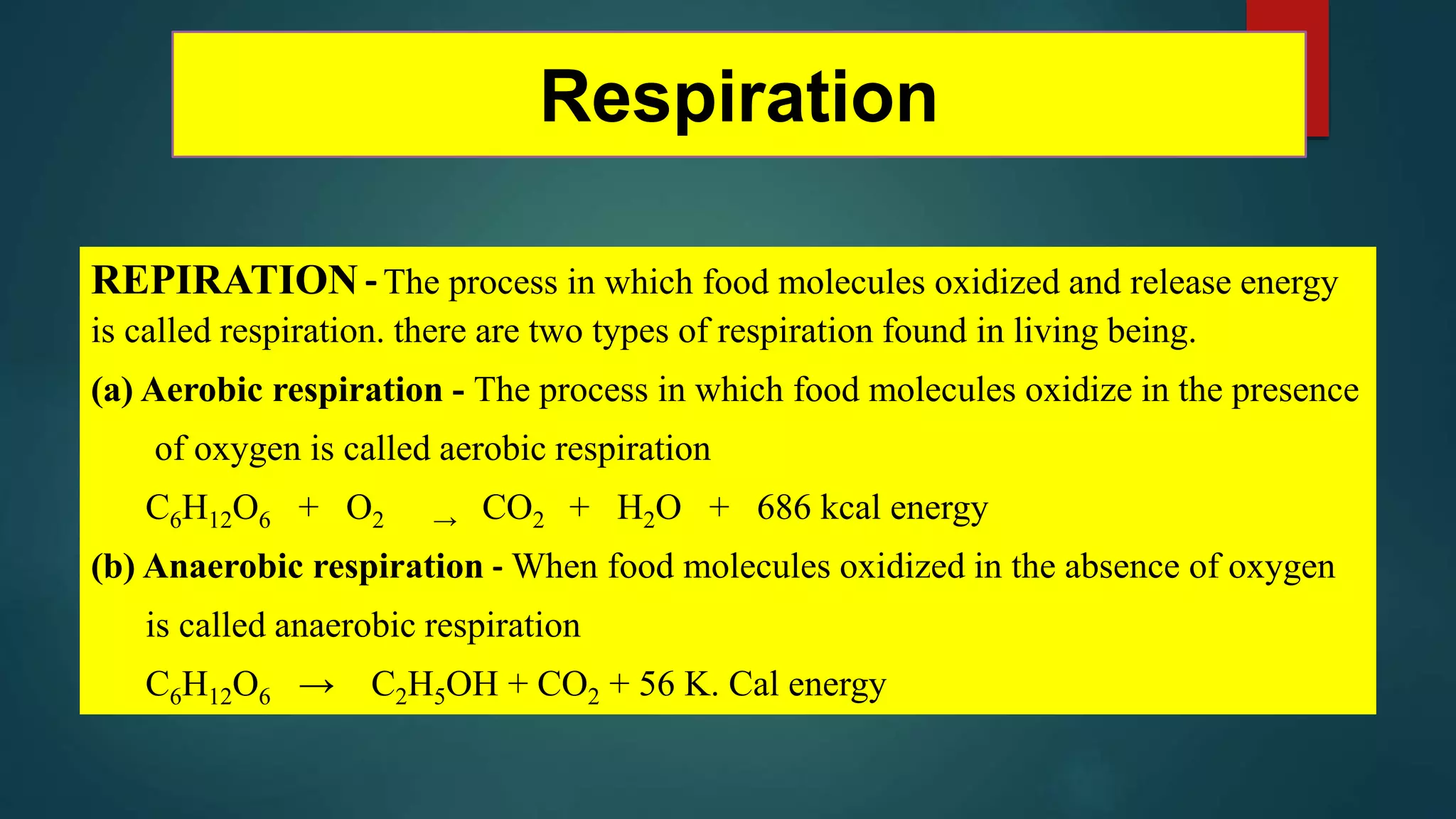 Ppt respiration in plant and organism | PPTX