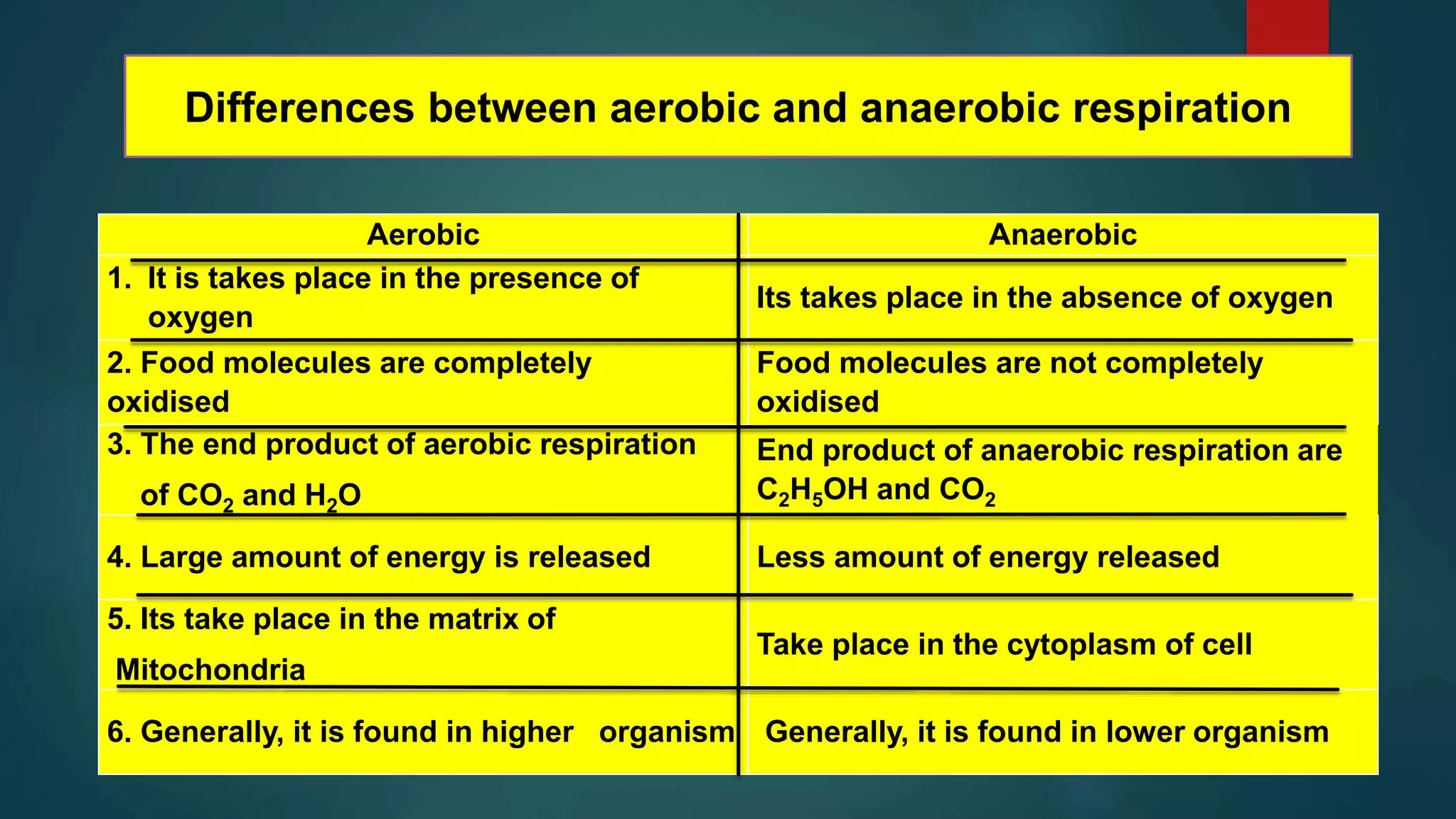 Ppt respiration in plant and organism | PPTX