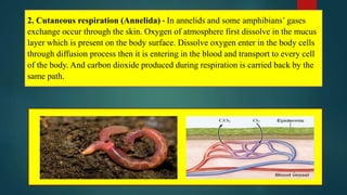 Ppt respiration in plant and organism | PPTX
