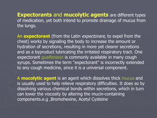 Ppt respiratory system | PPT