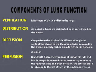 Ppt respiratory system | PPT