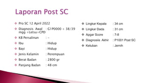 (PPT) Responsi CPD Cephalopelvic Disproportion | PDF