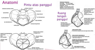 (PPT) Responsi CPD Cephalopelvic Disproportion | PDF