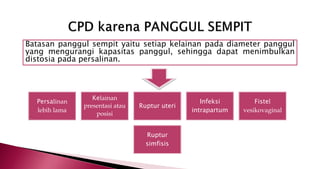 (PPT) Responsi CPD Cephalopelvic Disproportion | PDF