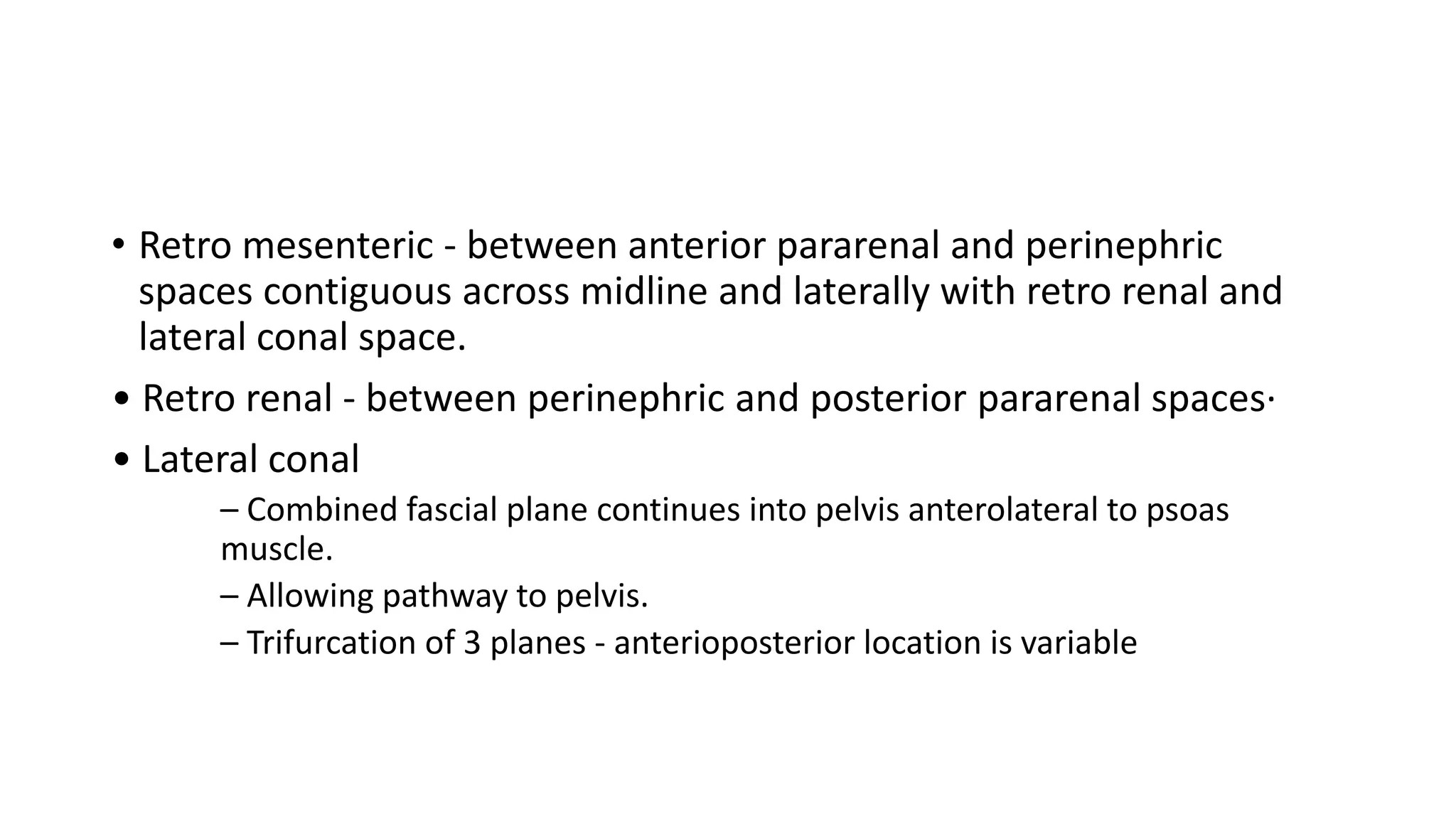 radiological anatomy of retroperitoneum powerpoint | PPTX