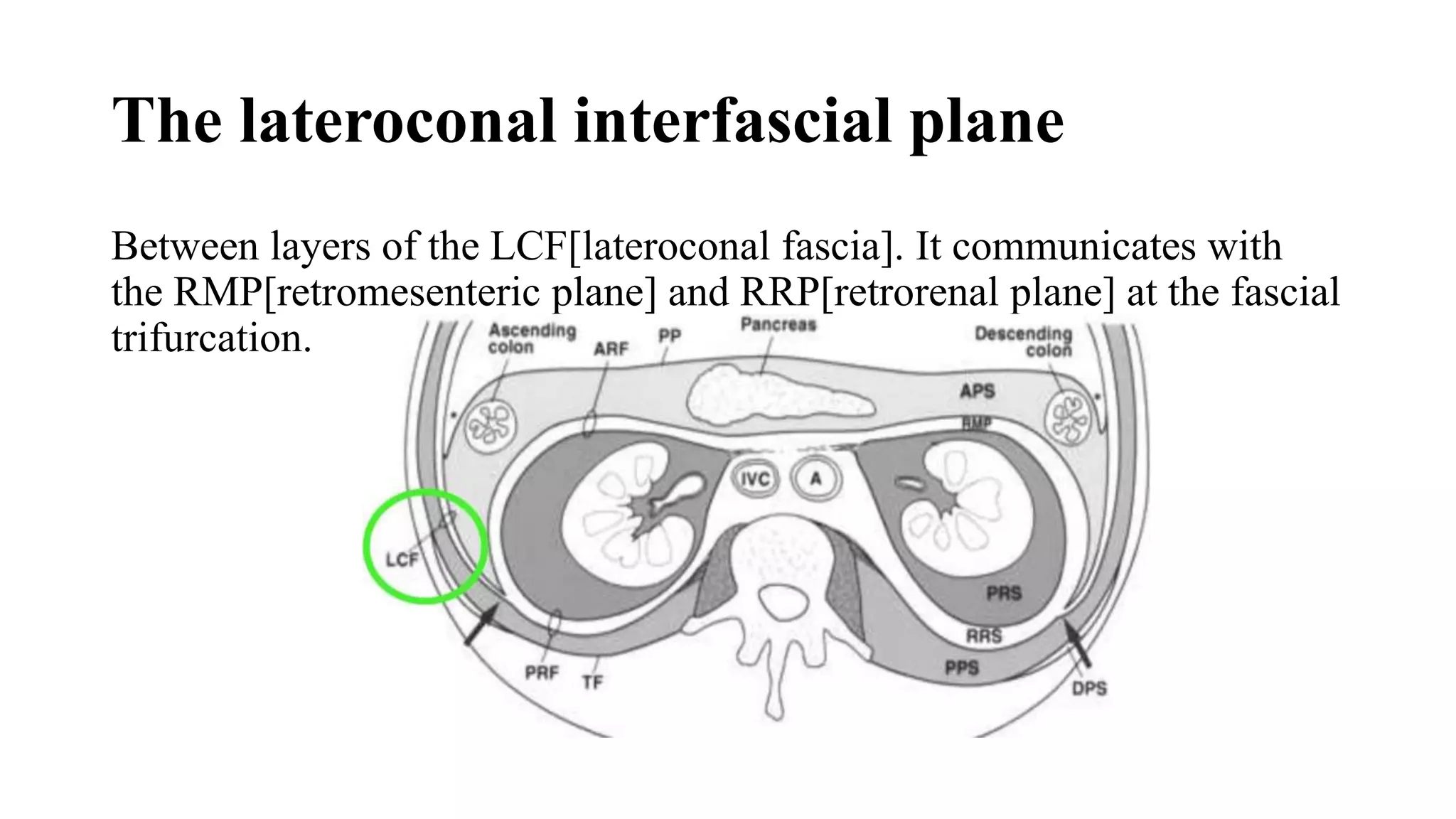 radiological anatomy of retroperitoneum powerpoint | PPTX