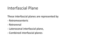 radiological anatomy of retroperitoneum powerpoint | PPTX