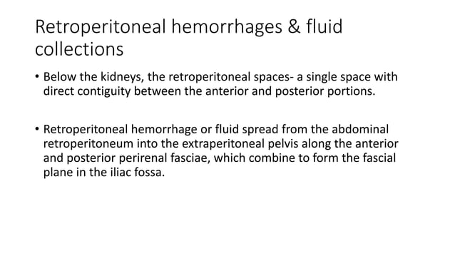 radiological anatomy of retroperitoneum powerpoint | PPTX