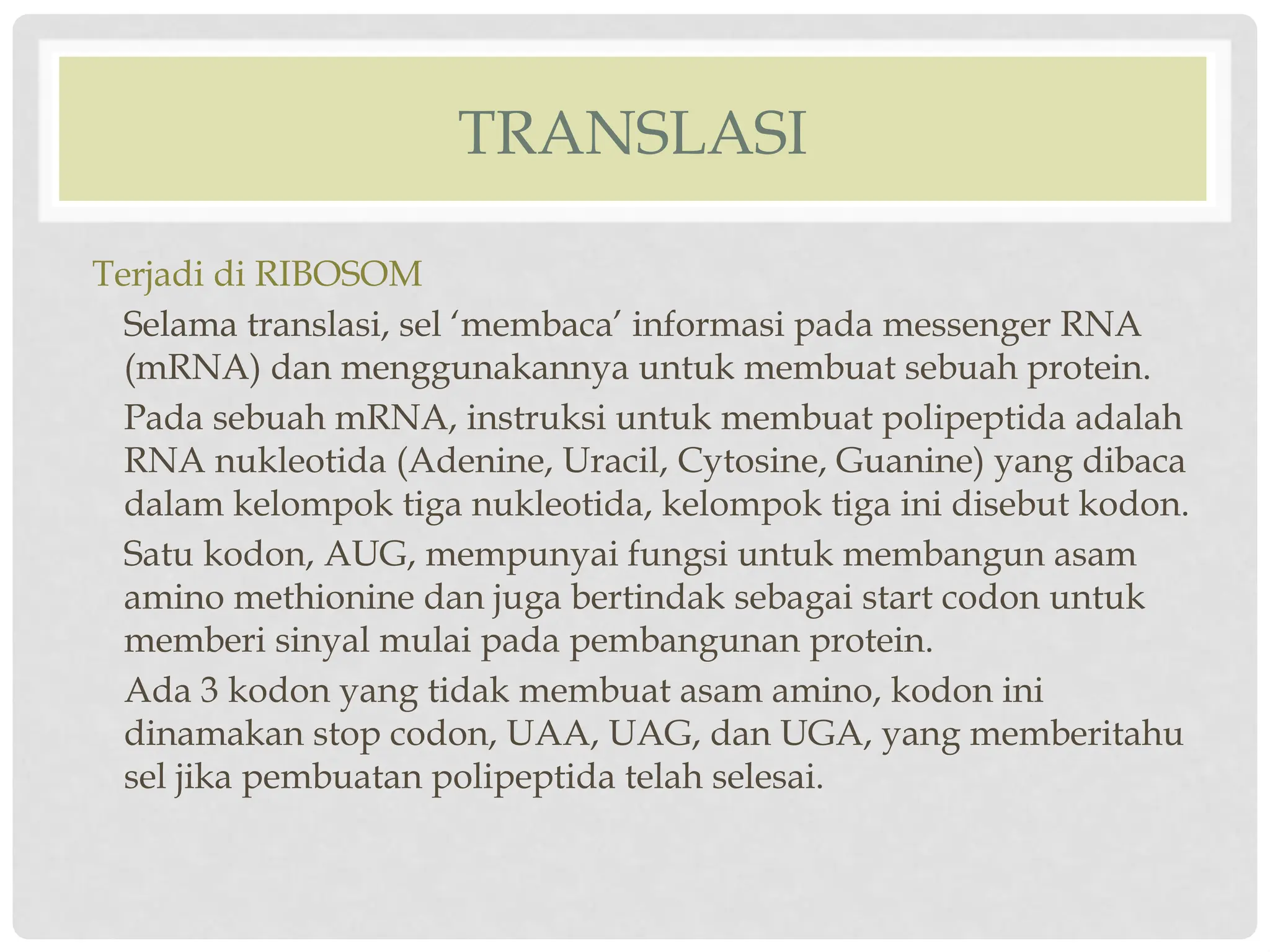PPt Materi Ribosom dan Sintesis Protein-1.pptx