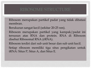 PPt Materi Ribosom dan Sintesis Protein-1.pptx