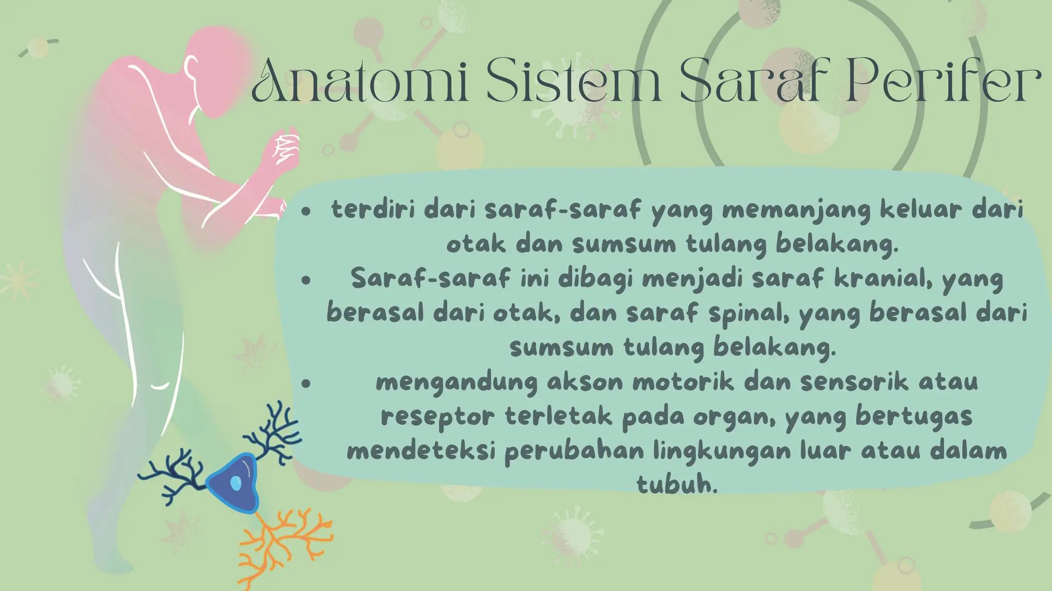 Anatomi dan fisiologi sistem saraf pada manusia.pdf