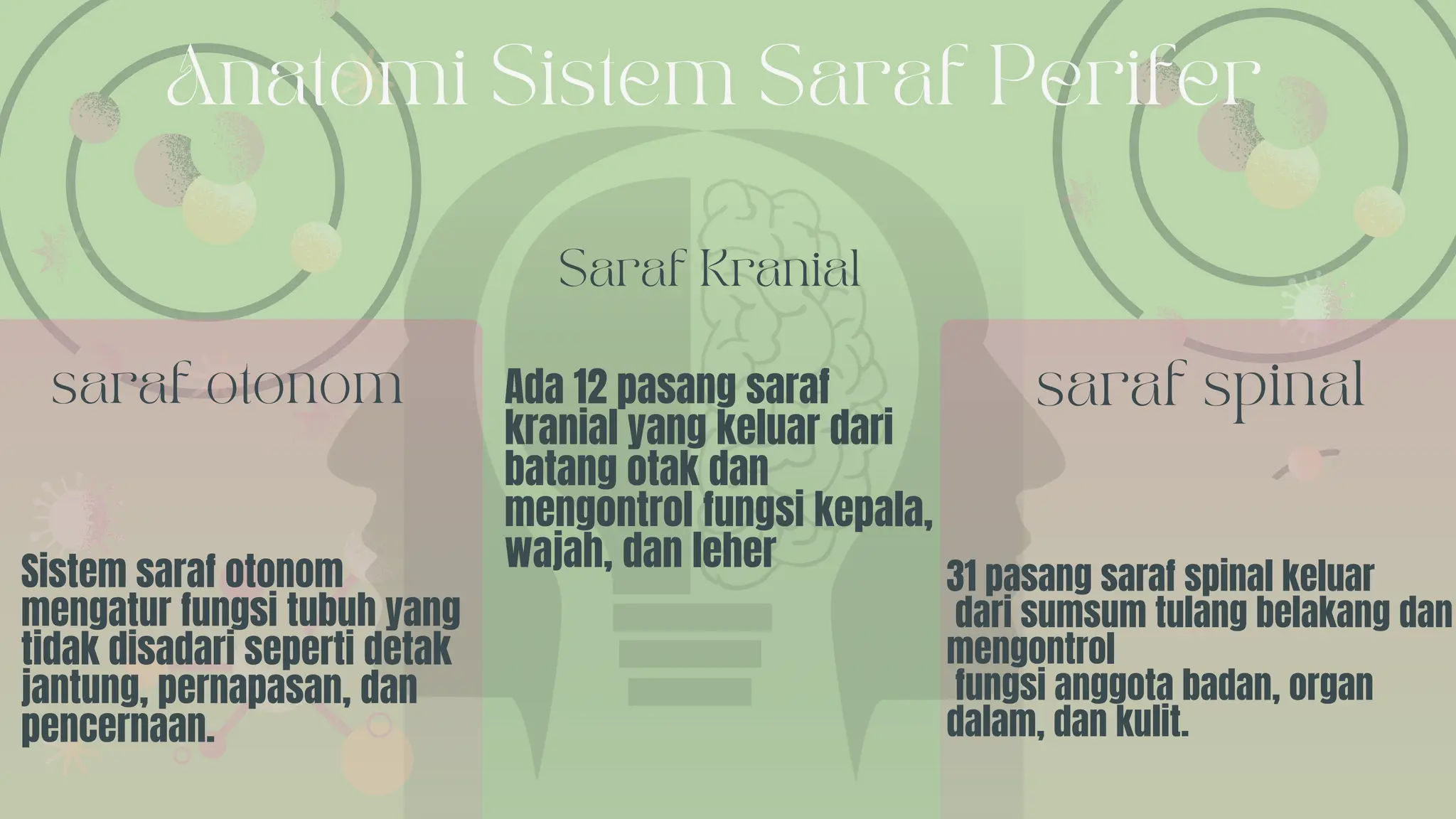 Anatomi dan fisiologi sistem saraf pada manusia.pdf