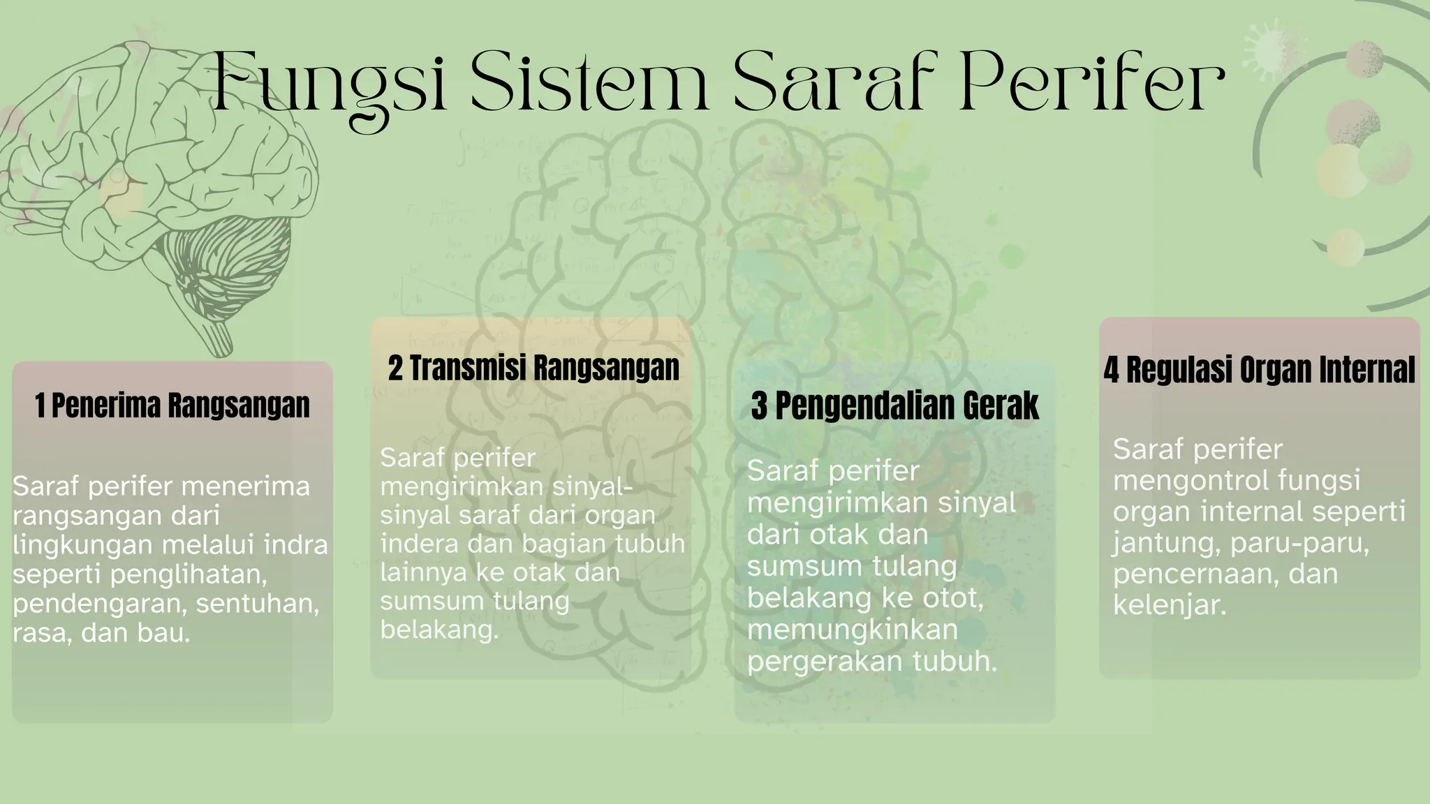Anatomi dan fisiologi sistem saraf pada manusia.pdf