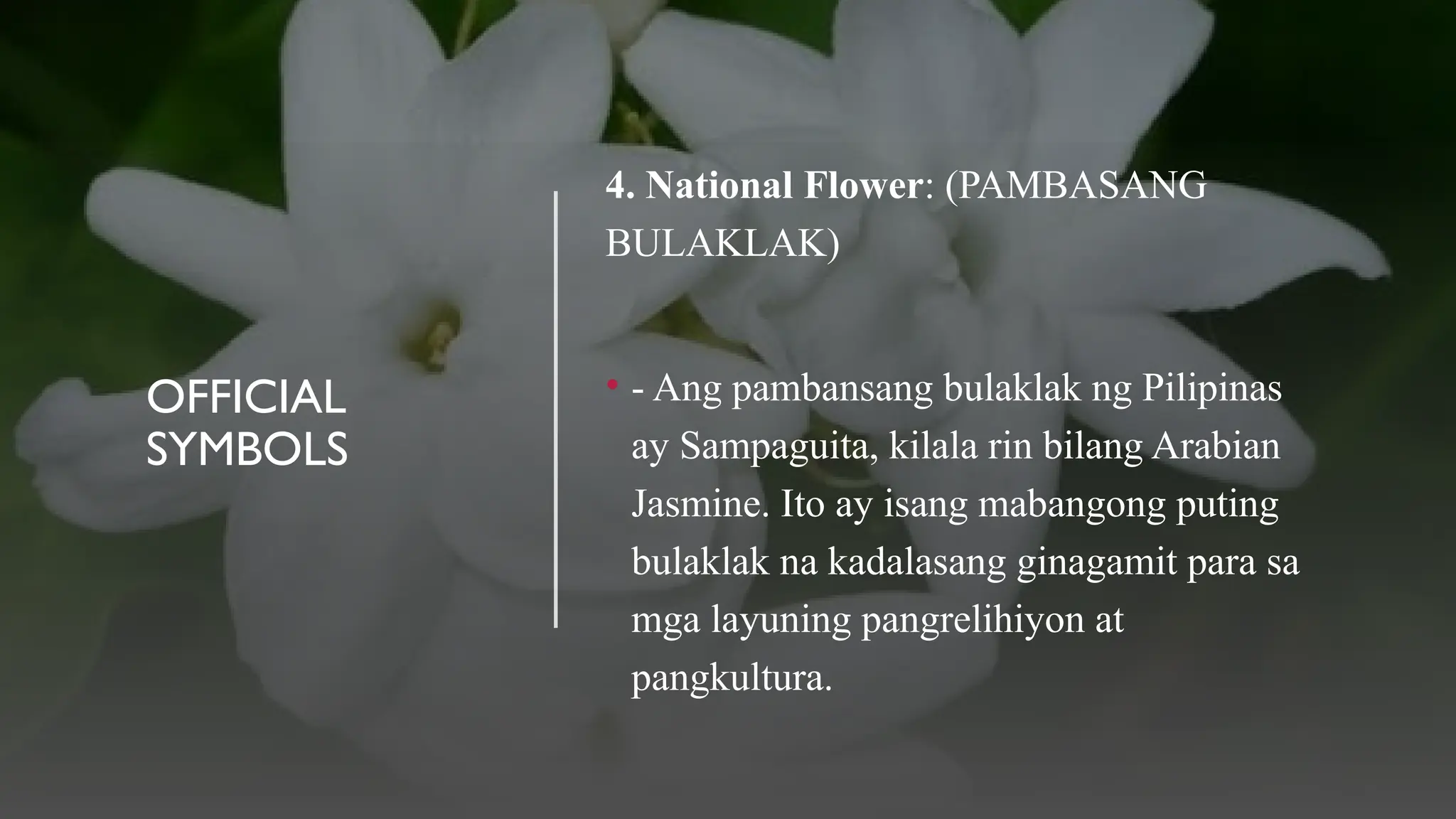 PPT RIZAL.pptx powerpoint presentation related to rizal | PPT