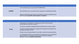 Metabolismo, lipogénesis, glucolisis, metabolismo | PPTX