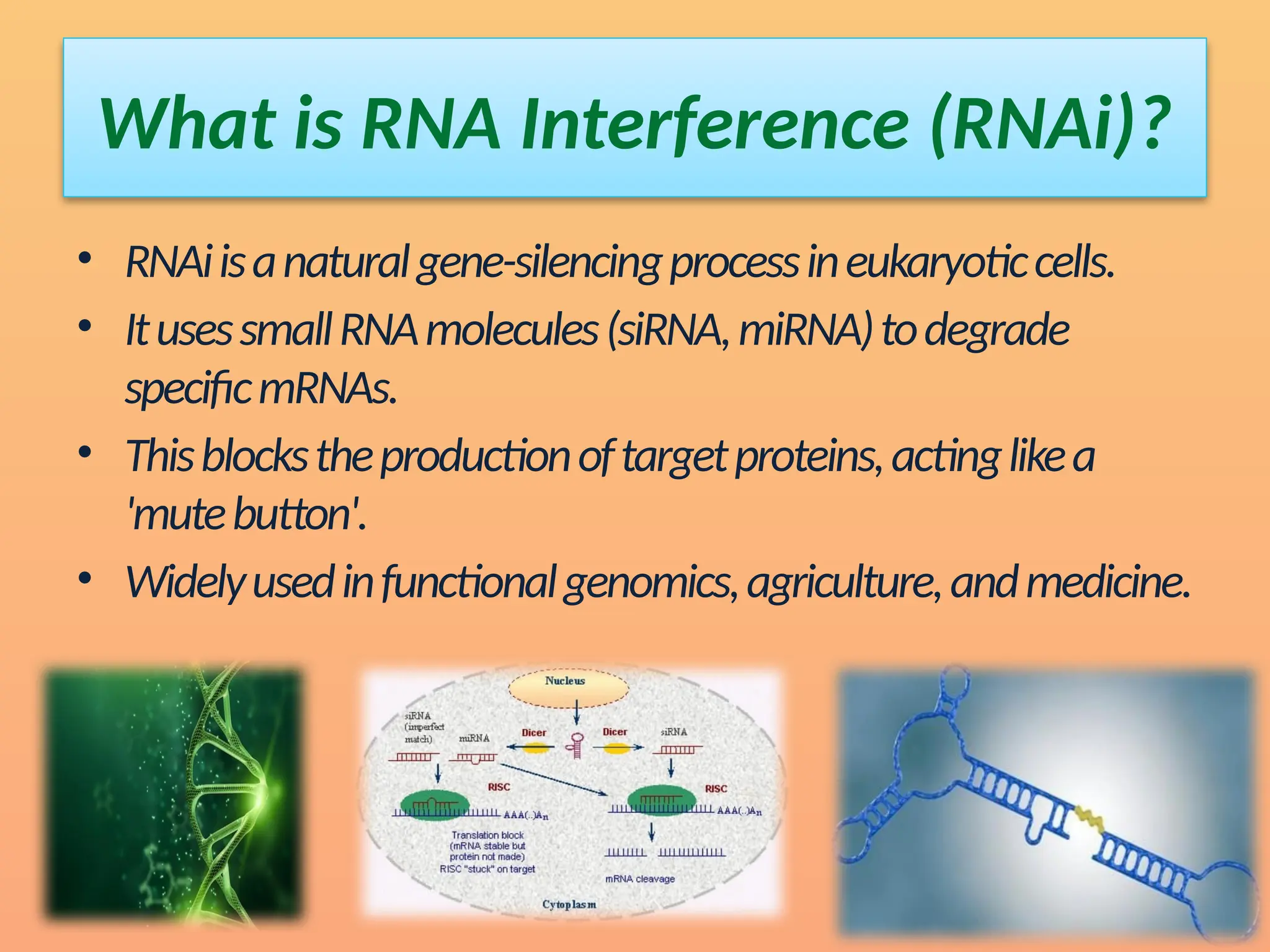 ppt rna New environmental application 111 (1).pptx
