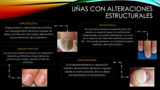 Power point uñas parte uno............... | PPTX