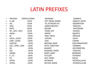 Romans in Britain | PPTX