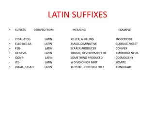 Romans in Britain | PPTX