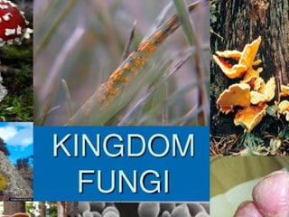 Ppt roshna corrected | PPTX | Biological Sciences | Science