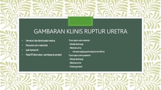 ppt ruptur uretra.pptx