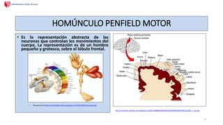 PPT S13 PRAXIAS.pptx