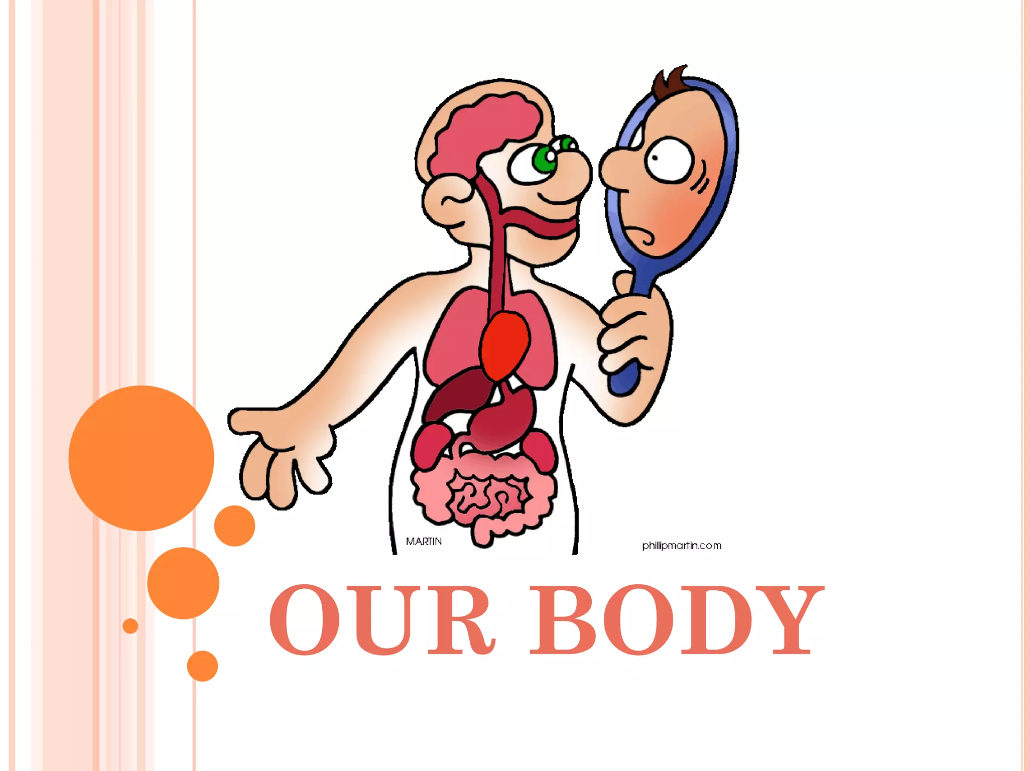 Ppt s2u1 our_body | PPT