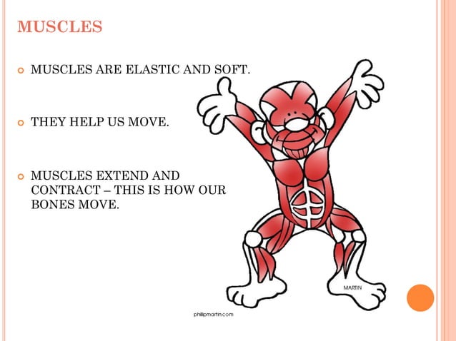 Ppt s2u1 our_body | PPT