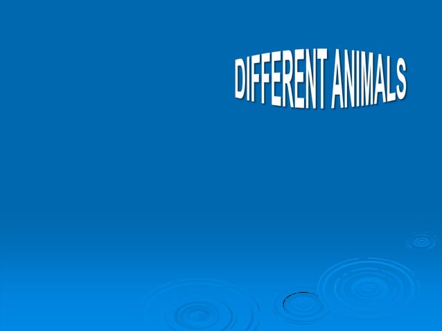 Ppt s2u6 different animals | PPT