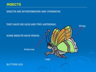 Ppt s2u6 different animals | PPT