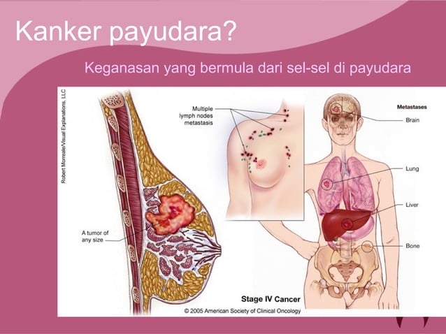 Ppt sadari | PPT