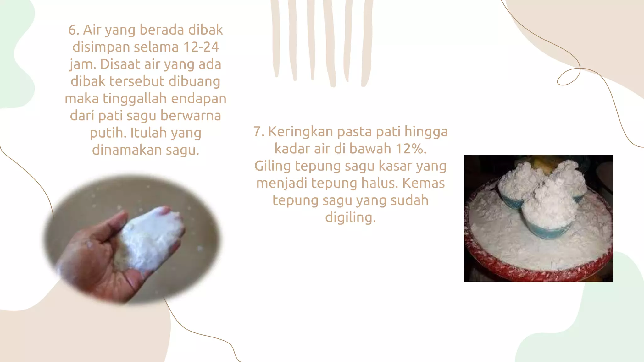 Tanaman Pangan Sagu | PPTX