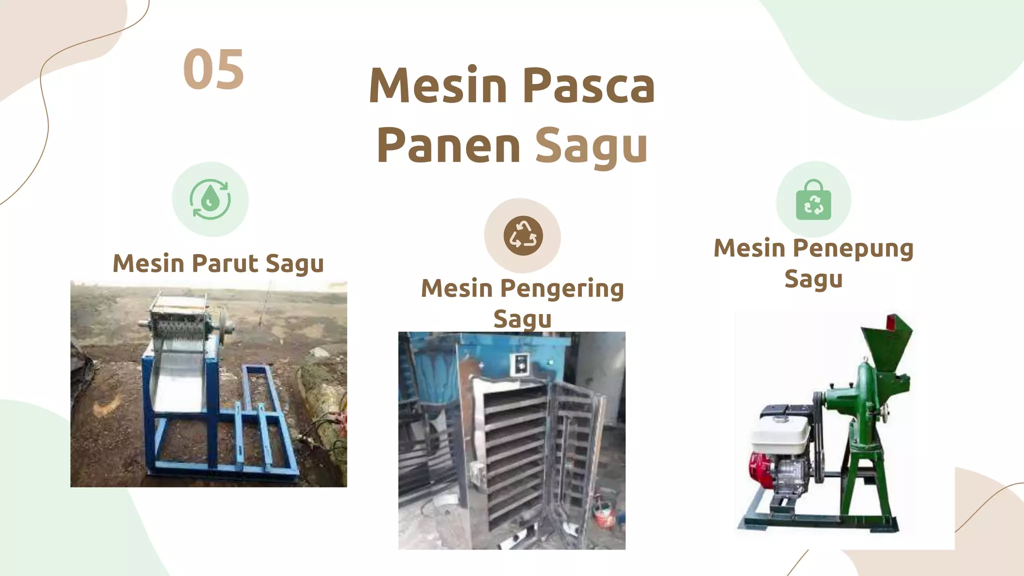 Tanaman Pangan Sagu | PPTX