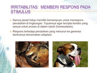 PPT SAINS DASAR KELOMPOK 5 (MAKHLUK HIDUP) | PPTX