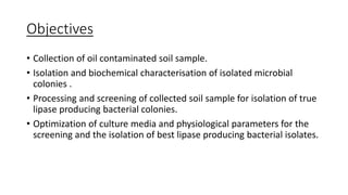 PPT(SANDHYA) 1iiiiiiiiiiiiiiiiiiiii.pptx