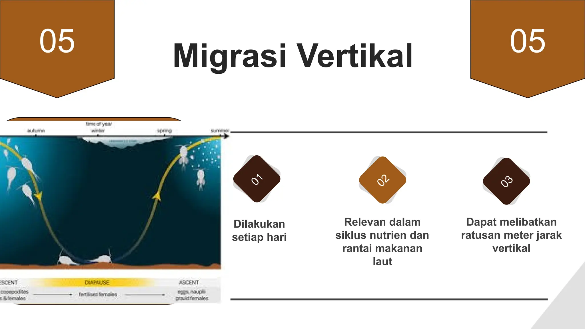 PPT Migrasi Hewan, dari jenis-jenis migrasi dan lain lain.pptx