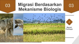 PPT Migrasi Hewan, dari jenis-jenis migrasi dan lain lain.pptx