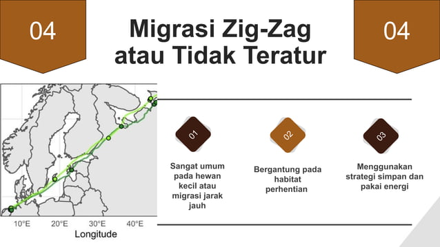 PPT Migrasi Hewan, dari jenis-jenis migrasi dan lain lain.pptx
