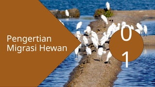 PPT Migrasi Hewan, dari jenis-jenis migrasi dan lain lain.pptx