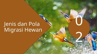 PPT Migrasi Hewan, dari jenis-jenis migrasi dan lain lain.pptx