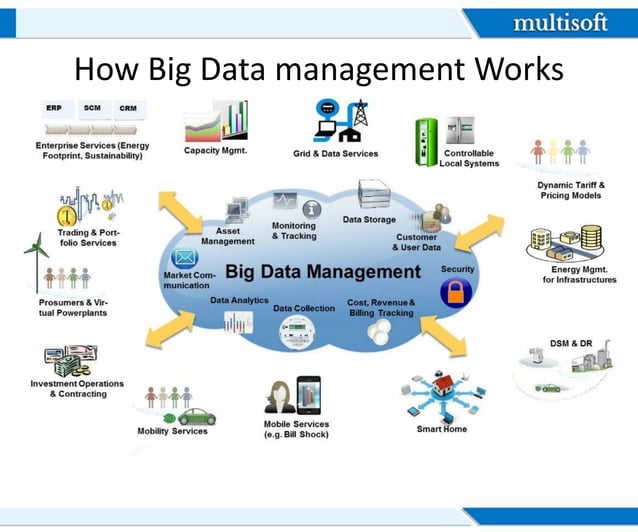SAP Domain | PPTX | Business | Business and Finance