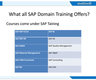 SAP Domain | PPTX | Business | Business and Finance