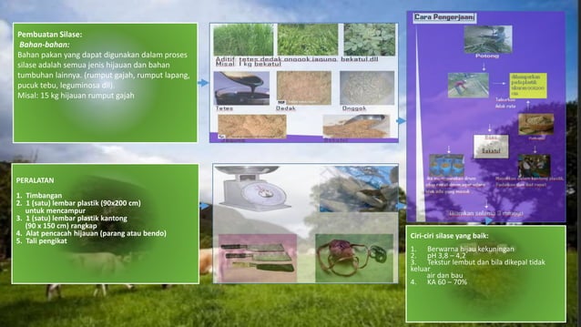 PPT SAPI manajemen pemeliharaan.pptx