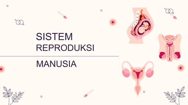 Ppt Sap Sex Education Siti Jazirotul Jannah Pptx