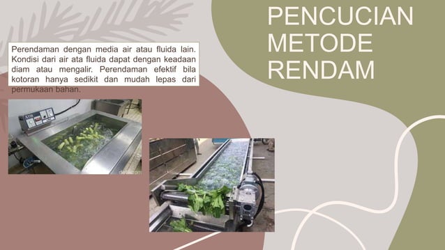 PENCUCIAN METODE RENDAM.pptx