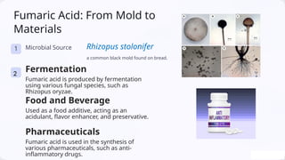 FUNGI :In Industrial use by satyam singh | PPTX