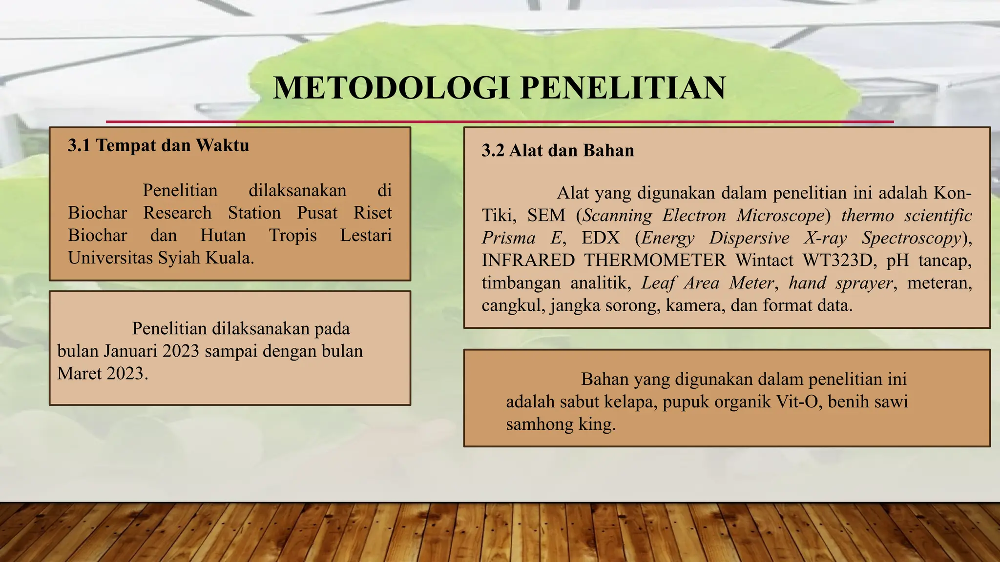 budidaya tanaman sawi tanaman hortikiltura | PPTX
